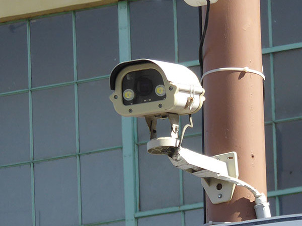 What We Do | ncavf.com